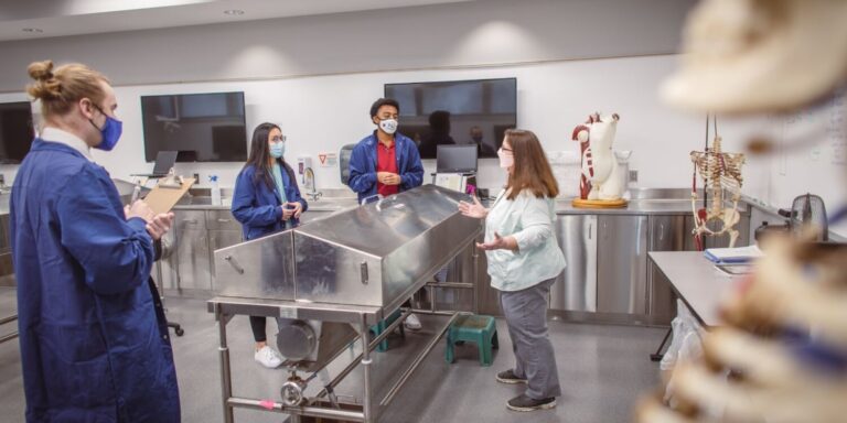 Unparalleled experience: students train in cadaver lab - Newman ...